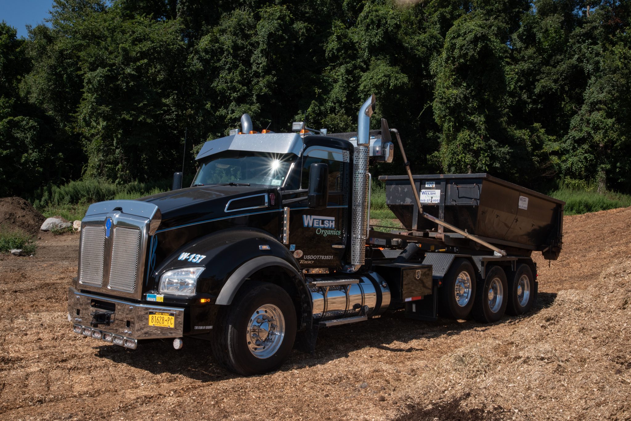 Welsh Sanitation Services